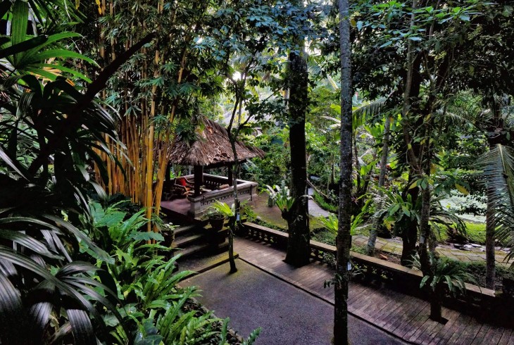 Cultureel Ubud met Arma - Bali Travel