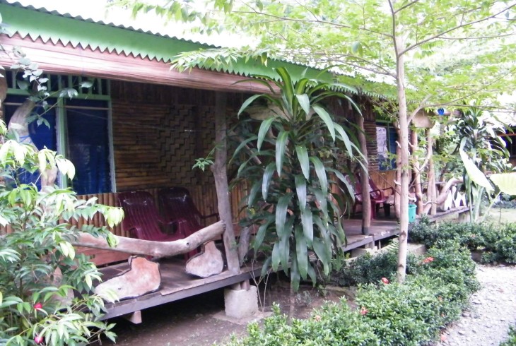Mega Inn Guesthouse - Tangkahan - Sumatra - Bali Travel
