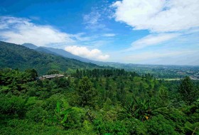 Bandung Theeplantages - Excursie Java - Bali Travel